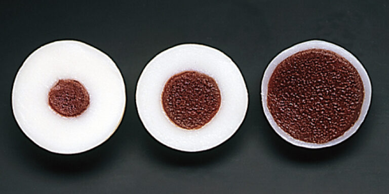 CORNUCOPIA KN500 - Rheon Asia‐Pacific