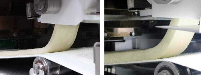 VM System - Rheon Asia‐Pacific